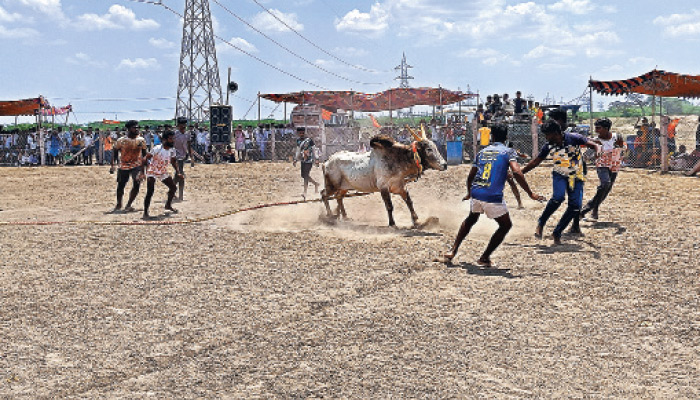 தமிழ்புத்தாண்டு முதல் அதிவேகமெடுக்கிறது; சிலம்பு எக்ஸ்பிரஸ் தினசரி ...